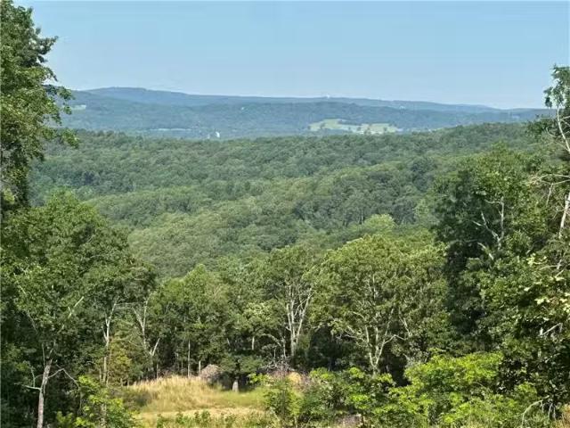 t BD MADISON CR 6021, ELKINS, AR 72727