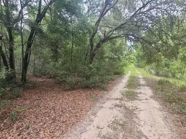 t BD NE 81ST ST, BRONSON, FL 32621 Vacant Land For Sale MLS#.