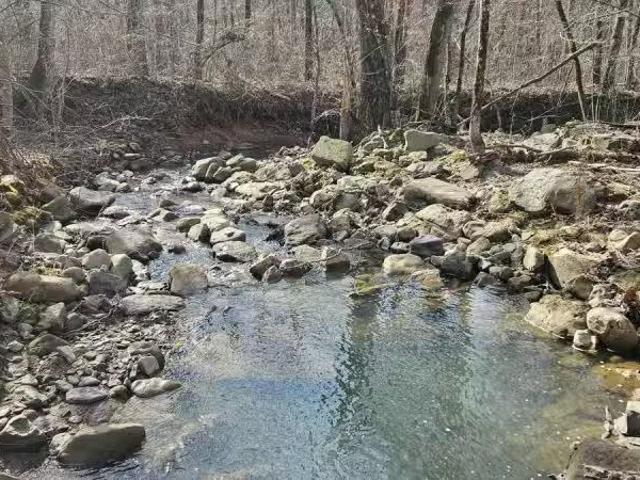 t BD NEWTON CO 8863 ROAD, JASPER, AR 72641 Vacant Land For Sal.
