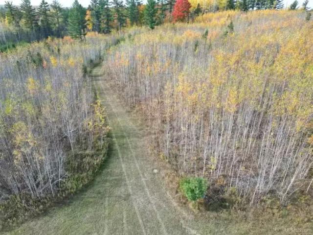 t BD OFF MURRAY 80, PERRONVILLE, MI 49873 Vacant Land For Sale.