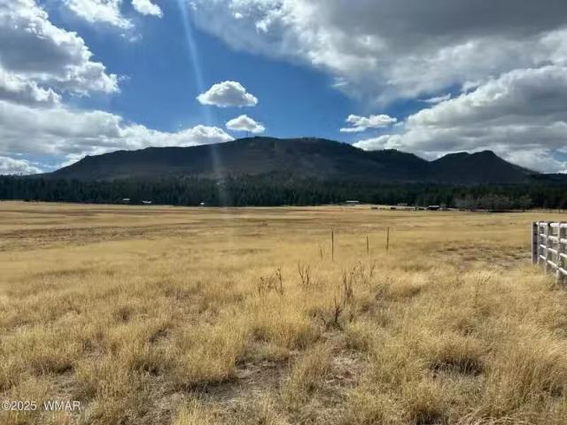 t BD ALPINE UNSUBDIVIDE, ALPINE, AZ 85920 Vacant Land For Sale.