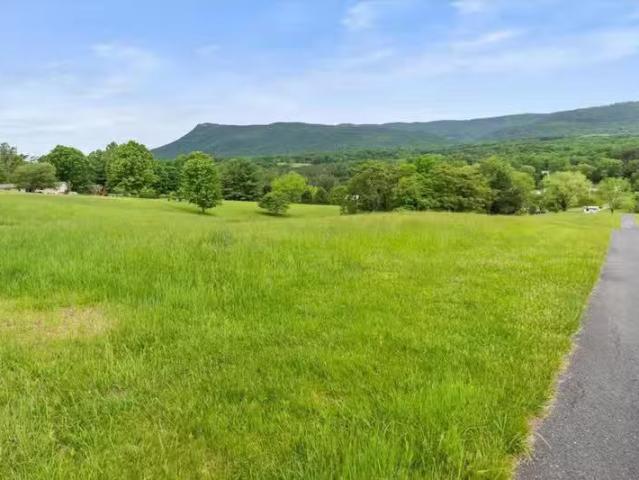 t BD BLOOMER SPRINGS RD, MCGAHEYSVILLE, VA 22840 Vacant Land F.