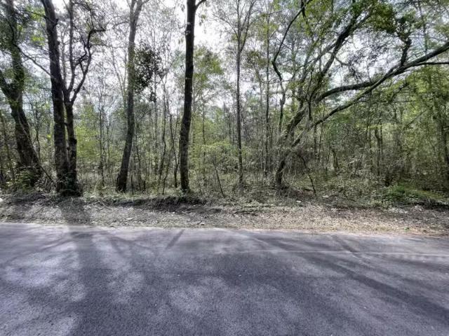 t BD CARTOON CIRCLE, EUTAWVILLE, SC 29048 Vacant Land For Sale.