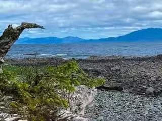 t BD CEDAR TREE DRIVE LOT #4, COFFMAN COVE, AK 99918 Vacant La.