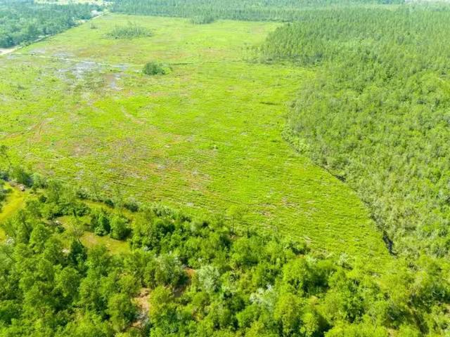 t BD CHURCH RD, STOCKTON, GA 31649 Vacant Land For Sale MLS#.