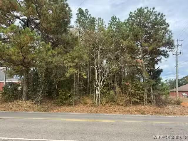 t BD DAMASCUS ROAD, ENTERPRISE, AL 36330