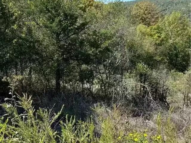 t BD ERBIE, MARBLE FALLS, TX 78654 Vacant Land For Sale MLS#.