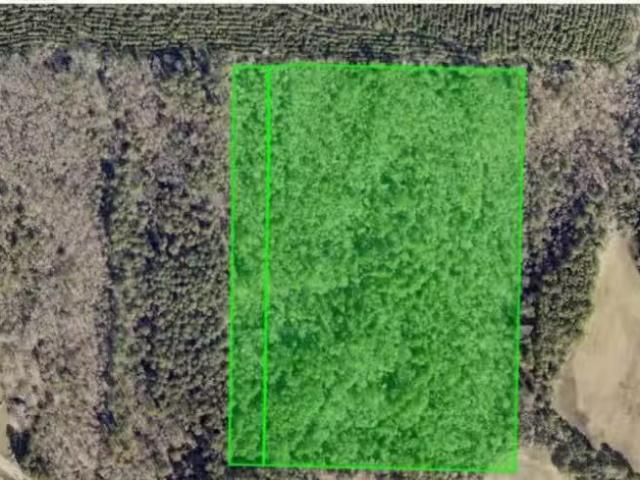 t BD HWY 160, DODDRIDGE, AR 71834