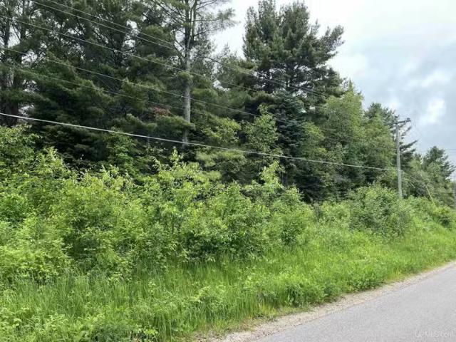 t BD HAWKS, REPUBLIC, MI 49879 Vacant Land For Sale MLS# 5014.
