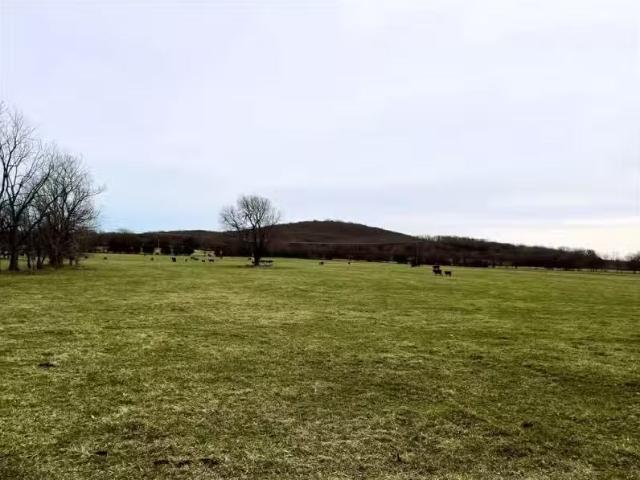 t BD HAT GILBREATH ROAD, SUMMERS, AR 72769 Vacant Land For Sal.