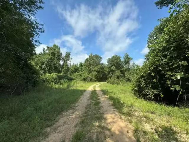t BD LAYTON JONES RD, MENDENHALL, MS 39114 Vacant Land For Sal.