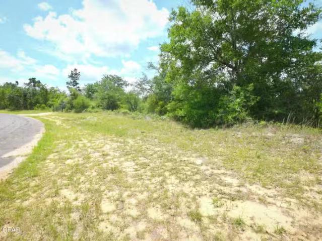 t BD LOT 40 BLUESTONE DRIVE, CHIPLEY, FL 32428 Single Family R.