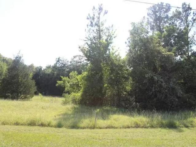 t BD RIDGEVIEW DRIVE, COLDSPRING, TX 77331 Vacant Land For Sal.