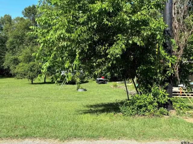 t BD ROYAL FOREST DR. FRANKSTON, TX 75763 Single Family Reside.