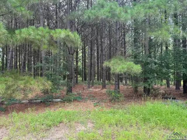 t BD SHILOH RD LOT 2, WHITE OAK, TX 75693 Vacant Land For Sale.