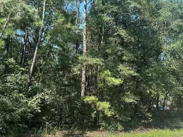 t BD SOUTHLAND CIRCLE, LIVINGSTON, TX 77351 Vacant Land For Sa.