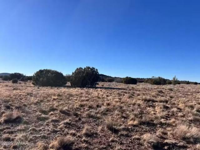t BD TBD, VERNON, AZ 85940