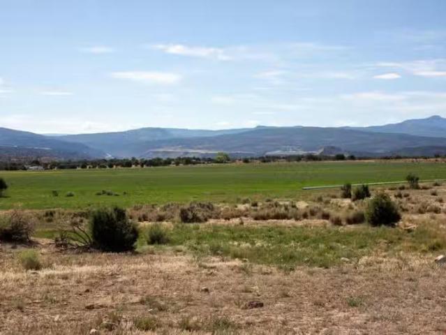 t BD TRACT 13 BOSTWICK PARK RD, MONTROSE, CO 81403 Single Fami.