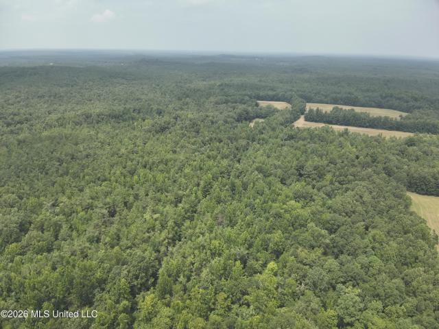 T K Lane, Pontotoc, MS 38863