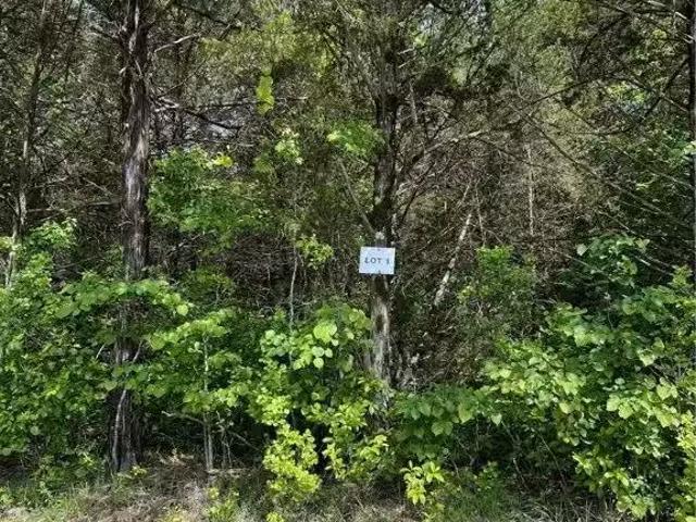 t RACT 1 HAMMERSCHMIDT ROAD, LEAD HILL, AR 72644 Vacant Land F.