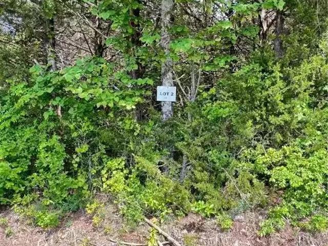 t RACT 2 HAMMERSCHMIDT ROAD, LEAD HILL, AR 72644 Vacant Land F.