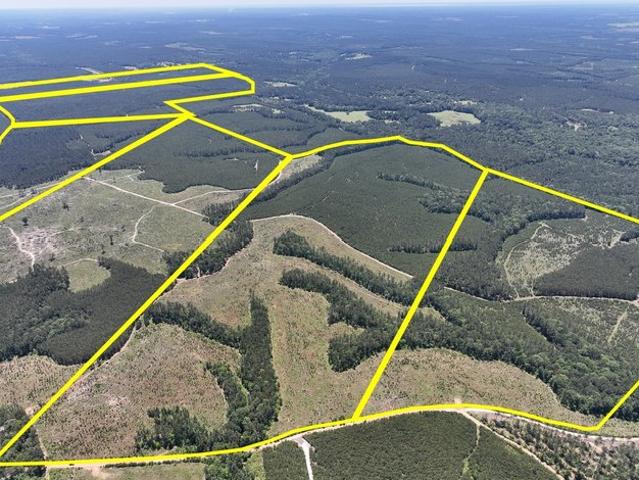 T 1 Union Springs Rd, Corrigan, TX 75939