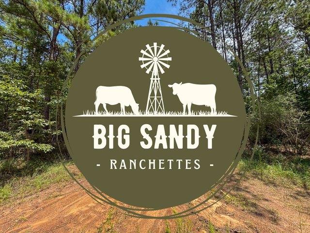 T 2 Benny Griffin Rd, Livingston, TX 77351