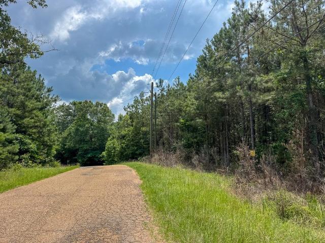 T 2 Blade Loop Road