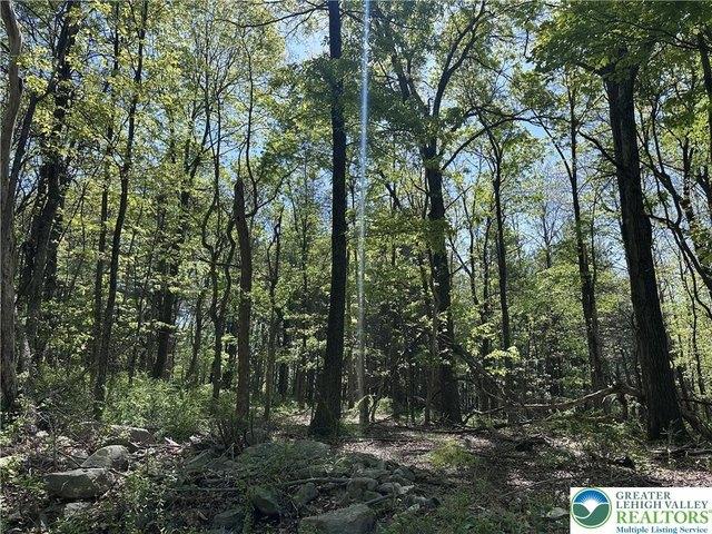 T 420 Little Mexico Rd, Chestnuthill Township, PA 18353