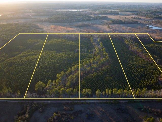 T 8 County Road 4415, Annona, TX 75559