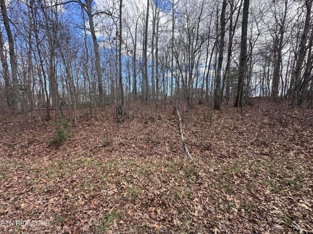 Tama Trace #9 # Crossville, TN 38572