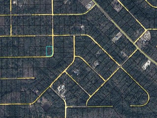 Tamarac Rd, Marianna, FL 32448