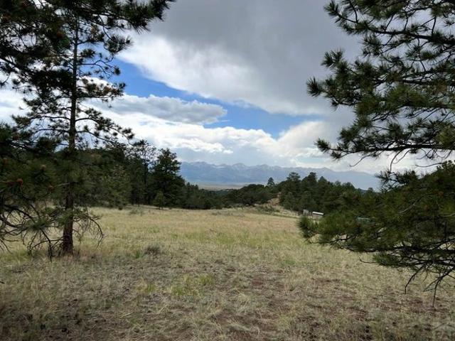 Tamarac Rd Lot 52, Silver Cliff, CO 81252