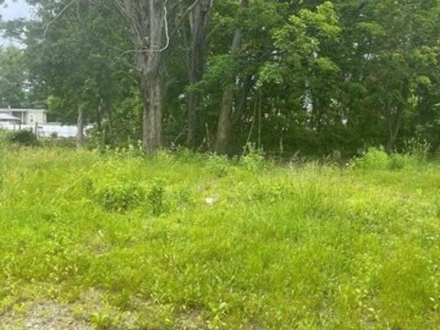 Tamarack Lot,lowell, Plot For Sale