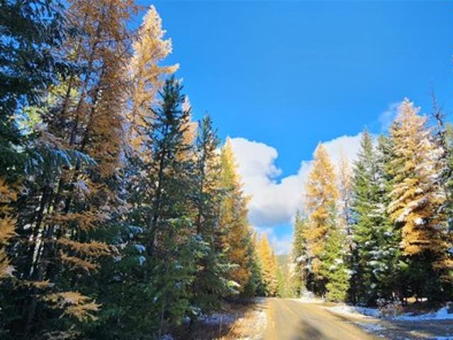 Tamarack Ln Lot 8, Rexford, MT 59930