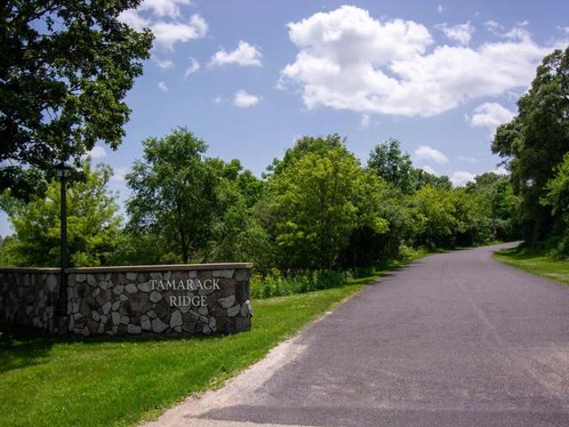Tamarack Ridge Rd Lot 0, Lafayette, WI 53121