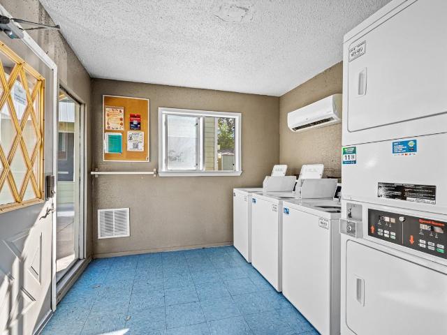 Tambaleo Apartments 1 Bedroom Apartment for Rent at 2208 S 5th St, Austin, TX 78704 Bouldin Creek