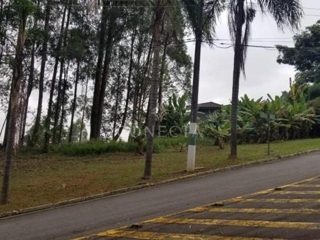 Tamboré 01
