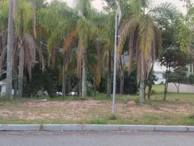 Tamboré 01