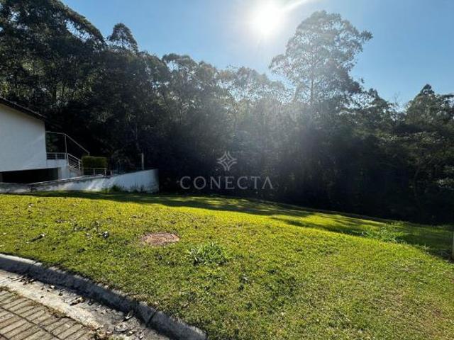 Tamboré 11