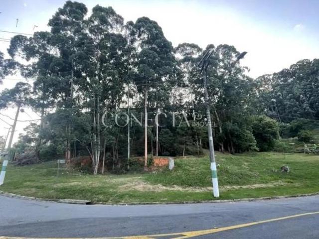 Tamboré 1