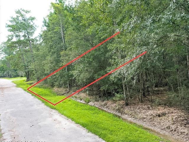Tampa Circle, Pearlington, MS 39572