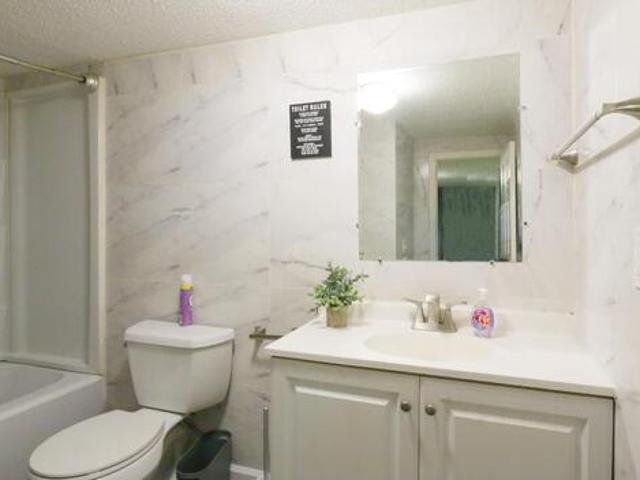 Tampa House with patio garden area, Homey & beautiful