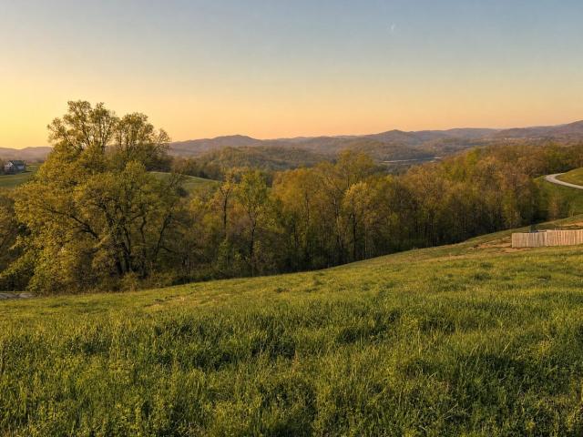 Tanzanite Tr 124, New Tazewell, TN 37825