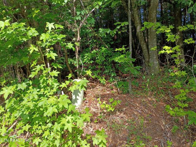 Tanger Court, Harriman, TN 37748