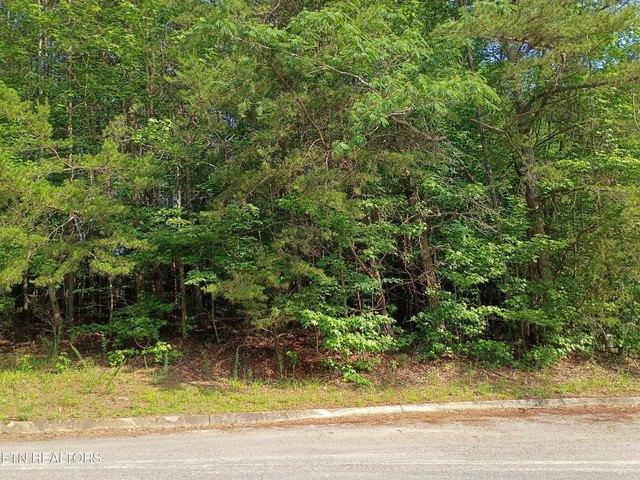 Tanger Ct, Harriman, TN 37748