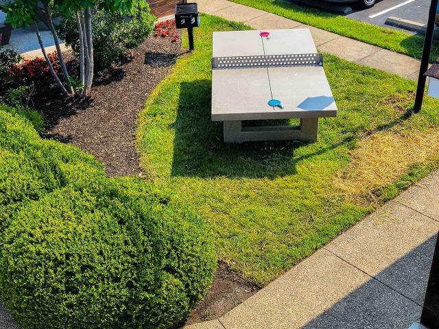 Tanglewood Apartments 2 Bedroom Apartment for Rent at 500 Bermuda Ln, Louisville, KY 40213 Edgewood