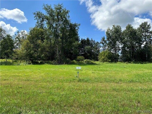 Tanglewood Development Lot,allegany, Plot For Sale