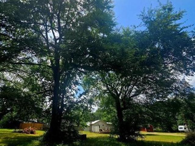 Tanglewood Drive Rd, Mabank, TX 75156