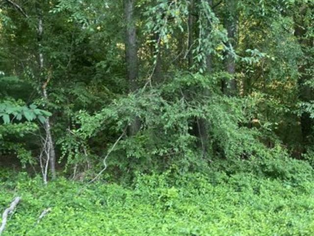 Tanglewood Ii Lot 35, Monticello, AR 71655
